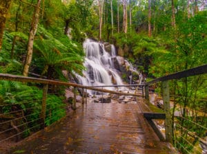 15 Best Things to Do in Drouin (Australia) - The Crazy Tourist