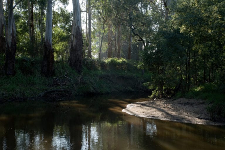 15 Best Things to Do in Drouin (Australia) - The Crazy Tourist