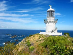 15 Best Things to Do in Forster (Australia) - The Crazy Tourist