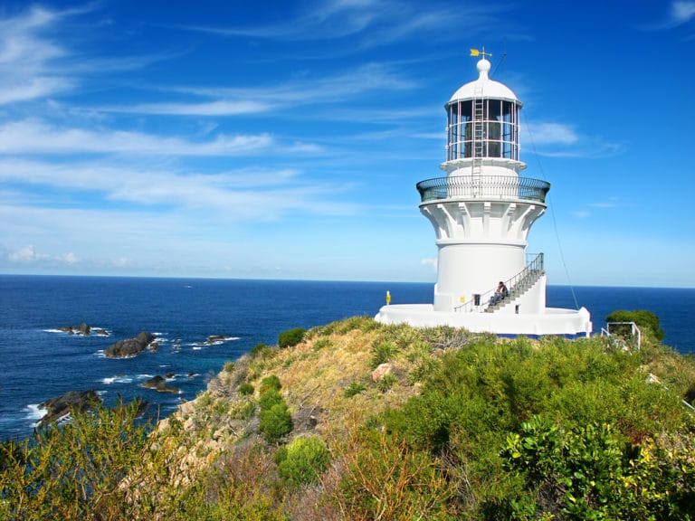 15 Best Things to Do in Forster (Australia) - The Crazy Tourist