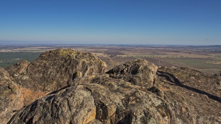 15 Best Things to Do in Griffith (Australia) - The Crazy Tourist