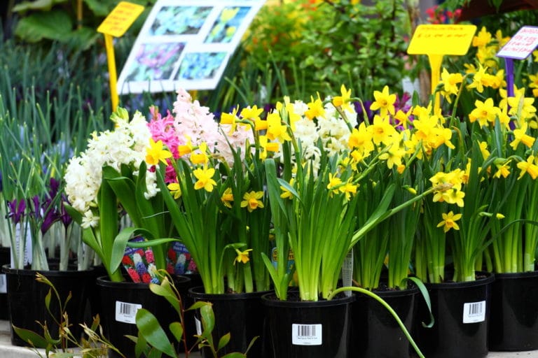 15 Best Things to Do in Drouin (Australia) - The Crazy Tourist