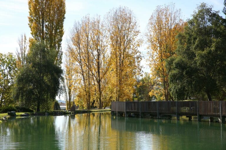 15 Best Things to Do in Armidale (Australia) - The Crazy Tourist