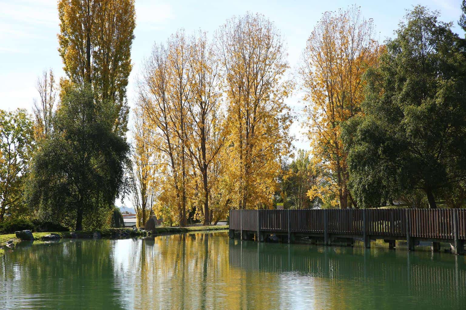 15 Best Things to Do in Armidale (Australia) - The Crazy Tourist