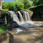 15 Best Things to Do in Moe (Australia) - The Crazy Tourist