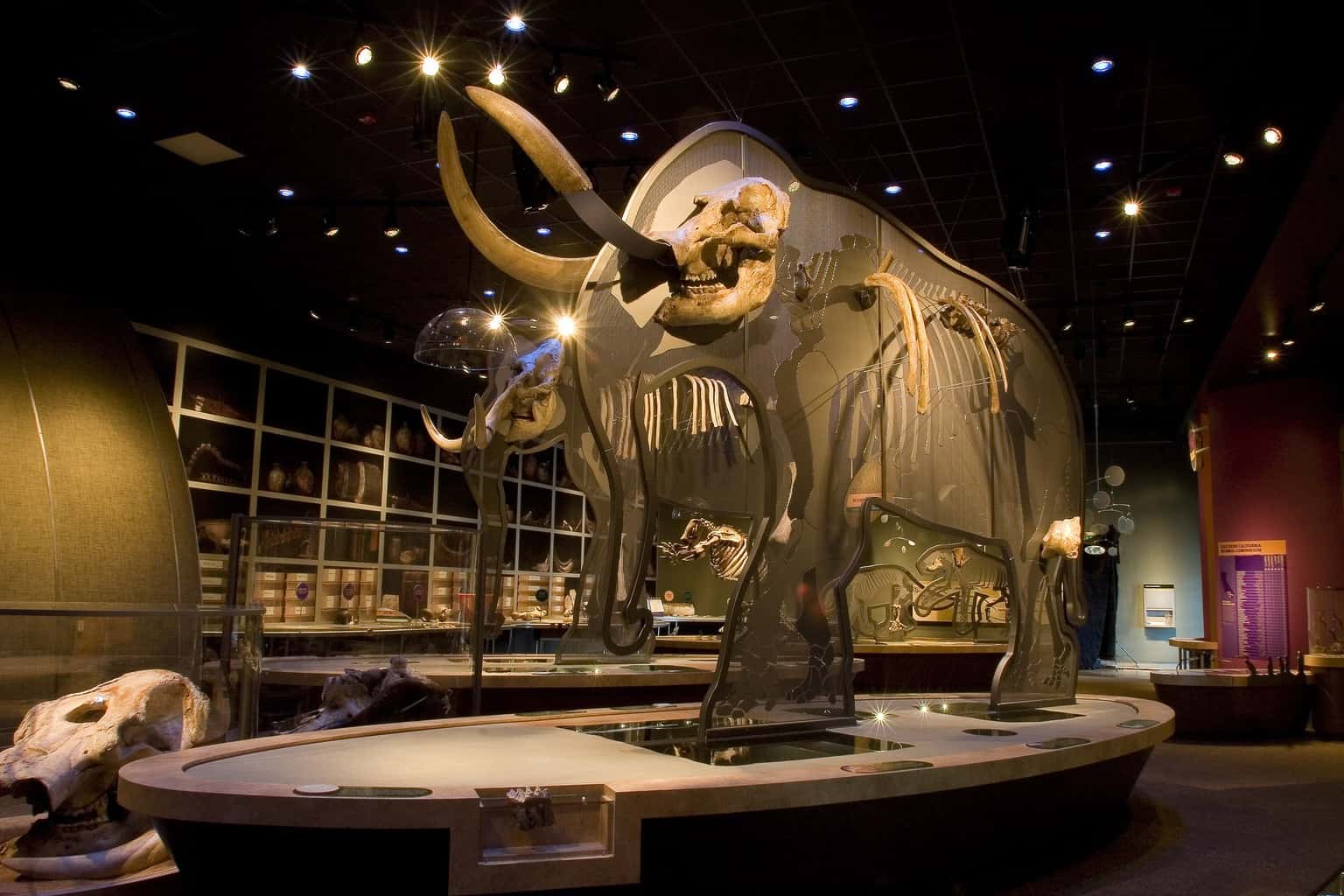 15 Best Things to Do in Perris (CA) - The Crazy Tourist