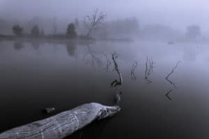 15 Best Things to Do in Mudgee (Australia) - The Crazy Tourist