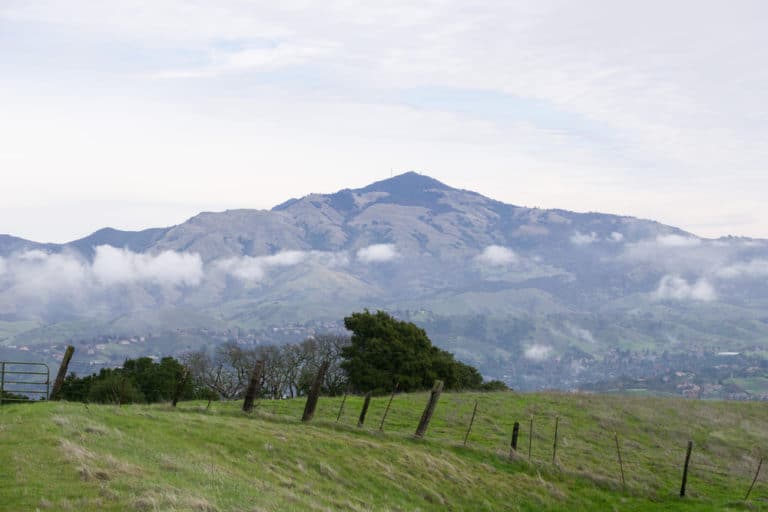 15 Best Things to Do in San Ramon (CA) - The Crazy Tourist