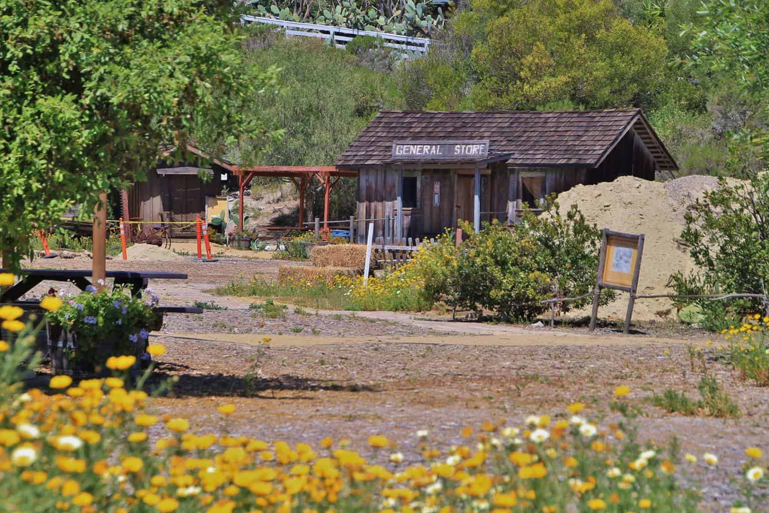 15 Best Things to Do in Encinitas (CA) - The Crazy Tourist