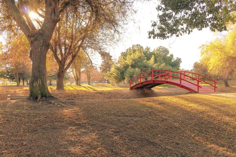 15 Best Things to Do in Madera (CA) - The Crazy Tourist