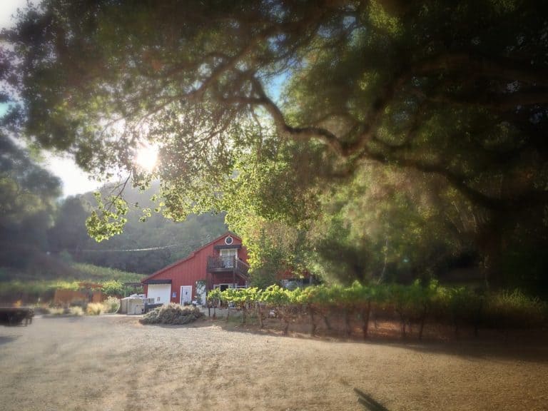 15 Best Things to Do in Castro Valley (CA) - The Crazy Tourist