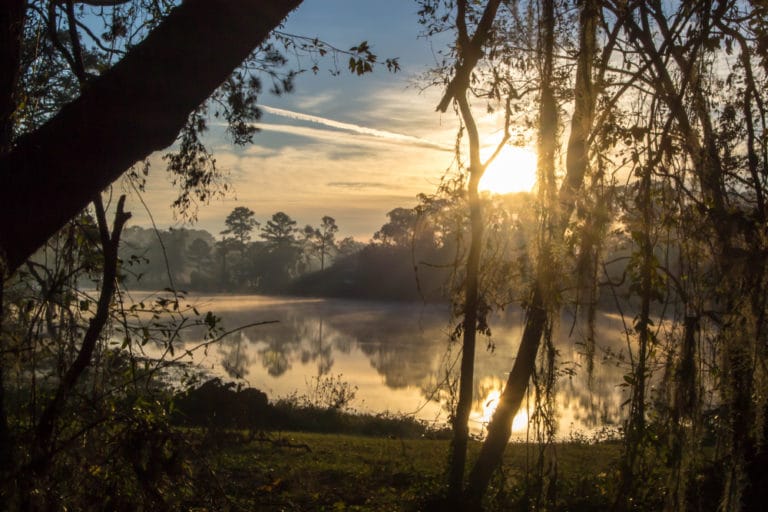 15 Best Things to Do in Albany (GA) - The Crazy Tourist