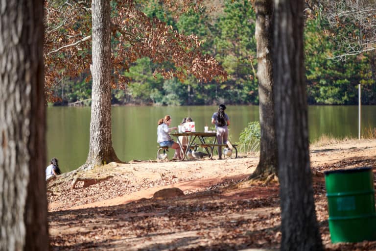 15 Best Things to Do in McDonough (GA) - The Crazy Tourist