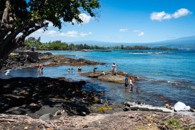 15 Best Things to Do in Hilo (Hawaii) - The Crazy Tourist