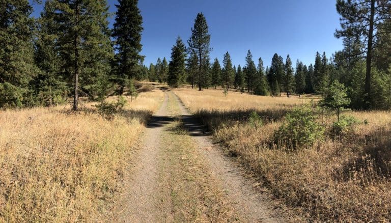 15 Best Things to Do in Post Falls (Idaho) - The Crazy Tourist