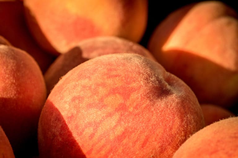 15 Best Things to Do in Ruston (LA) - The Crazy Tourist