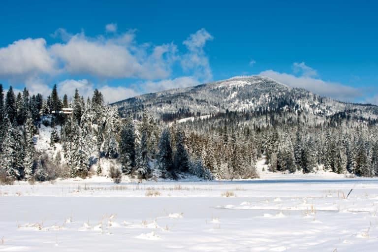 15 Best Things to Do in Rathdrum (Idaho) - The Crazy Tourist