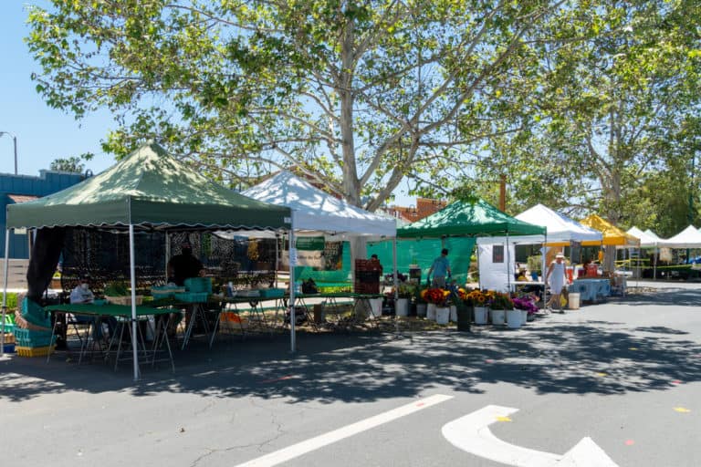 15 Best Things to Do in Poway (CA) - The Crazy Tourist