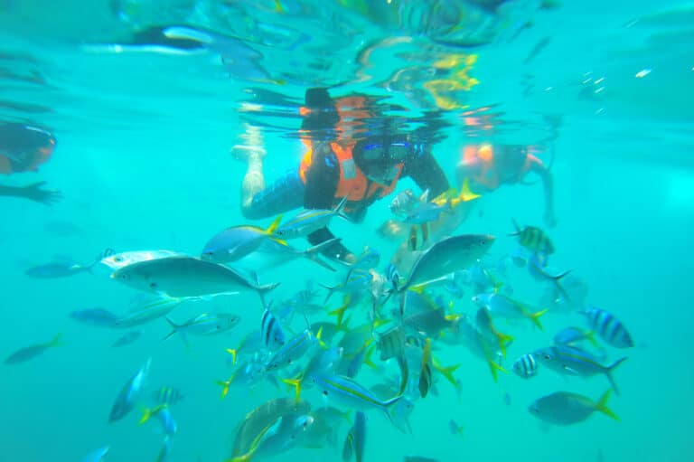 25 Best Things to Do on Tioman Island (Malaysia) - The Crazy Tourist