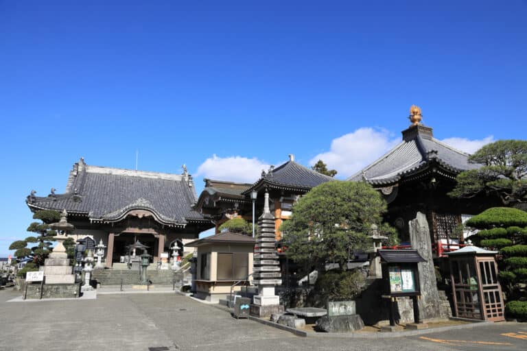 15 Best Things to Do in Tokushima (Japan) - The Crazy Tourist