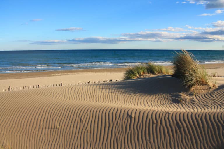 15 Best Things to Do in Montpellier (France) - The Crazy Tourist