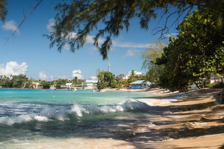 15 Best Beaches in Barbados - The Crazy Tourist