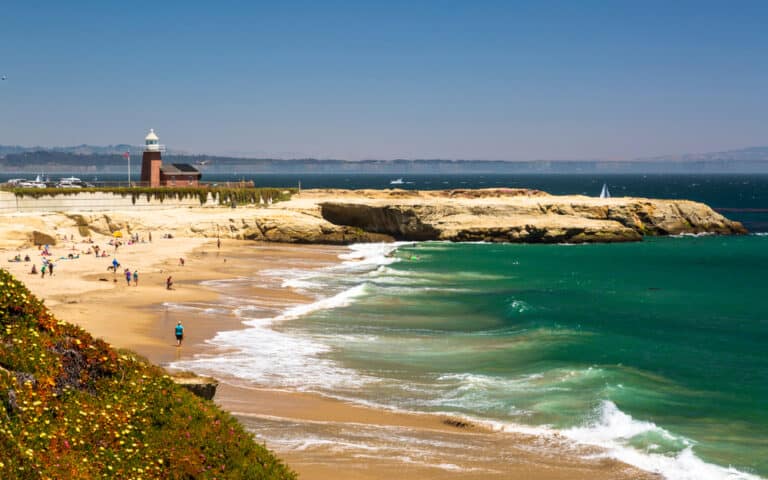 15 Best Beaches in Santa Cruz - The Crazy Tourist