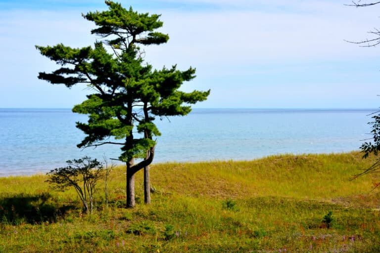 15 Best Beaches in Wisconsin - The Crazy Tourist