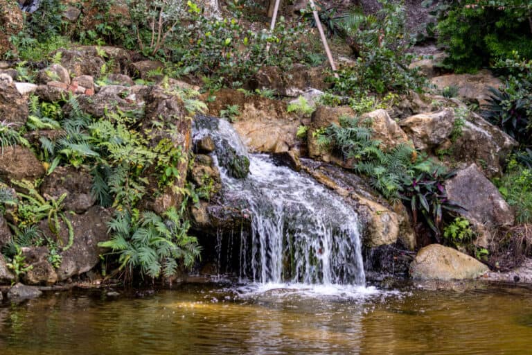 12 Amazing Waterfalls in Florida - The Crazy Tourist