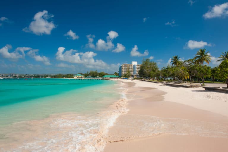 15 Best Beaches in Barbados - The Crazy Tourist