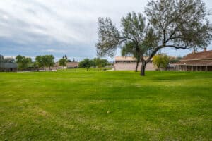 15 Best Things to Do in Yuma (Arizona) - The Crazy Tourist