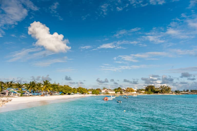 15 Best Beaches in Barbados - The Crazy Tourist