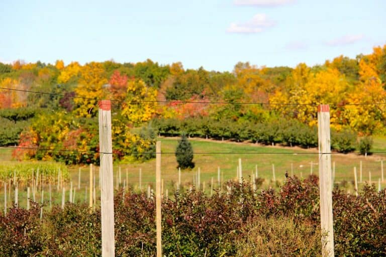 15 Best Things to Do in Guilford (CT) - The Crazy Tourist