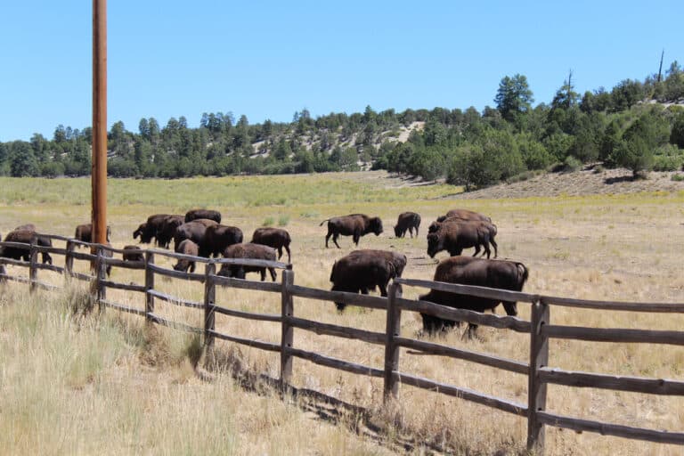 15 Best Day Trips from Spokane - The Crazy Tourist