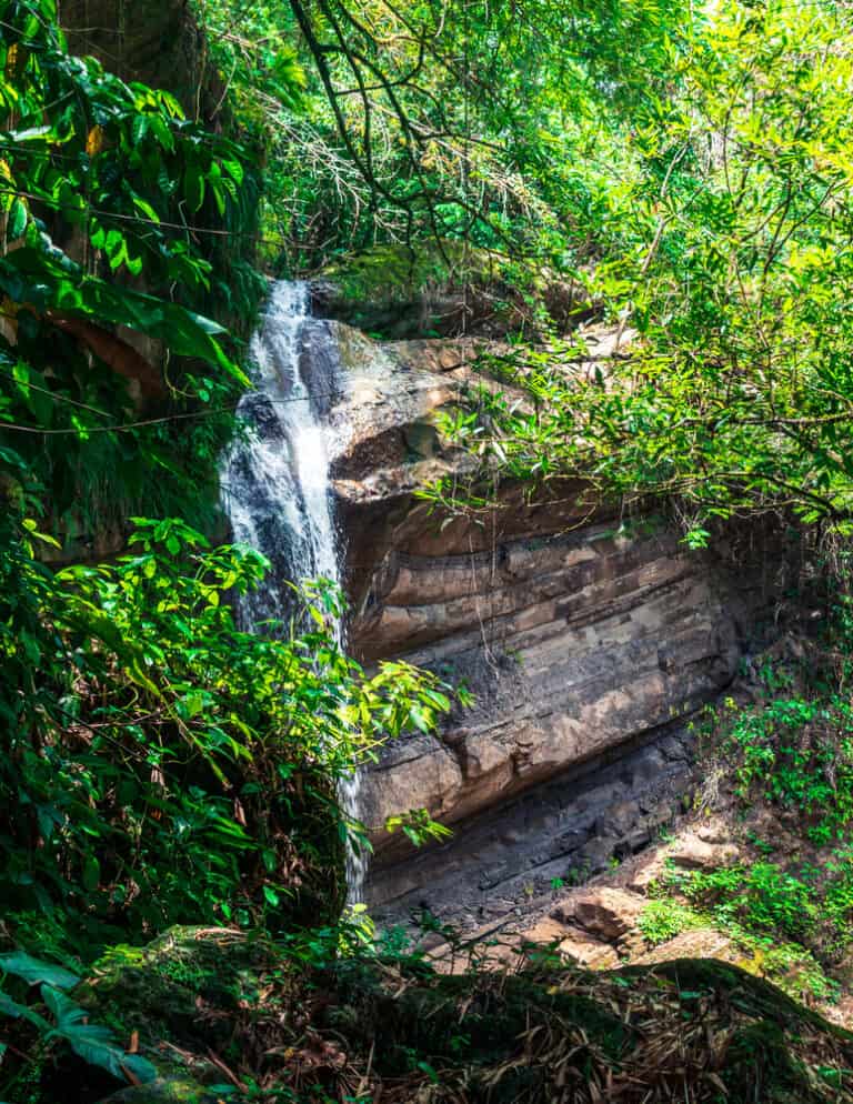 15 Amazing Waterfalls in Jamaica - The Crazy Tourist