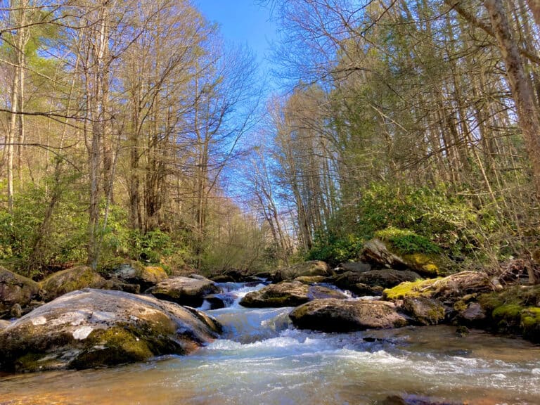 15 Amazing Waterfalls in Virginia - The Crazy Tourist