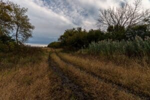 15 Best Things to Do in Streamwood (IL) - The Crazy Tourist