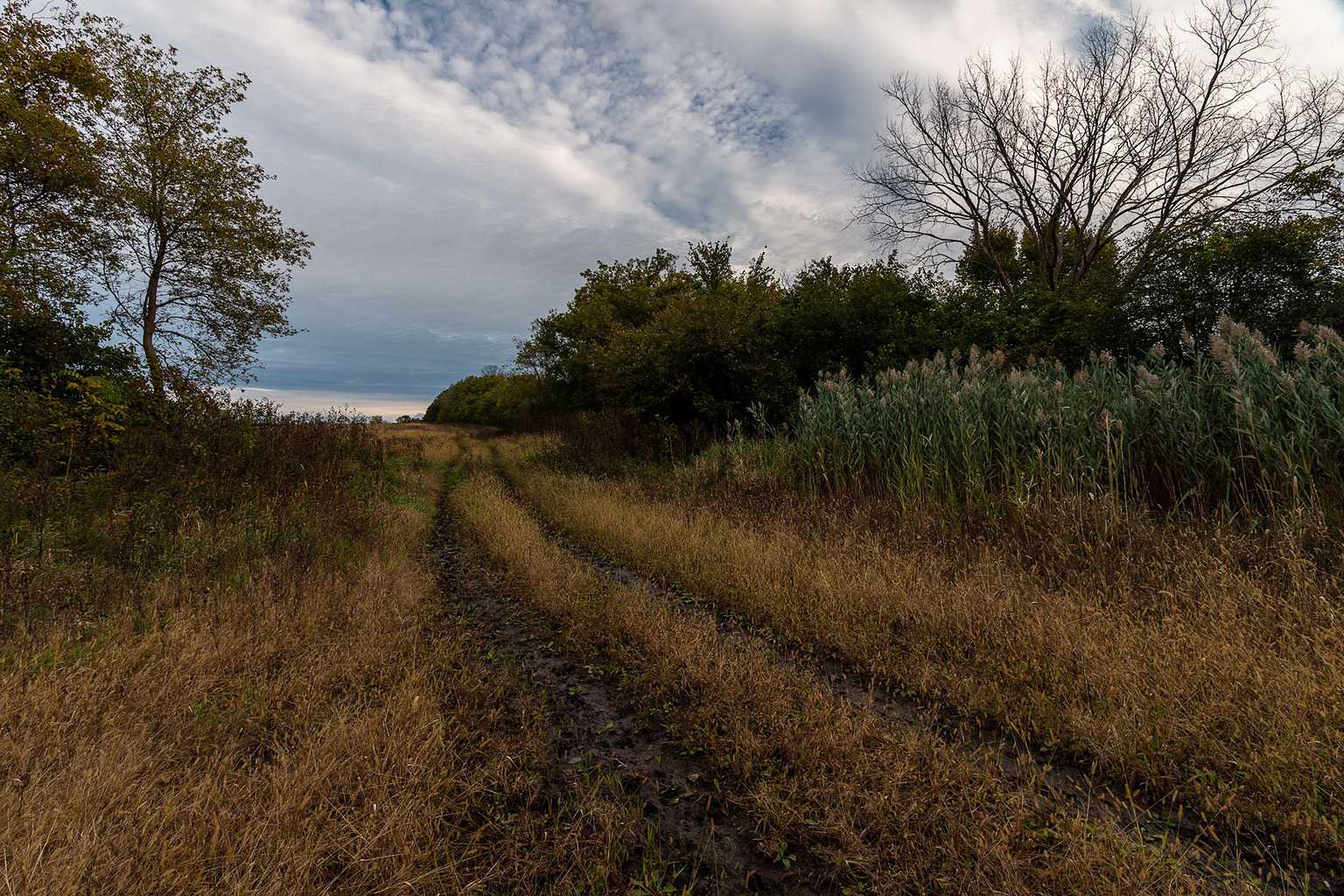 15 Best Things to Do in Hoffman Estates (IL) - The Crazy Tourist