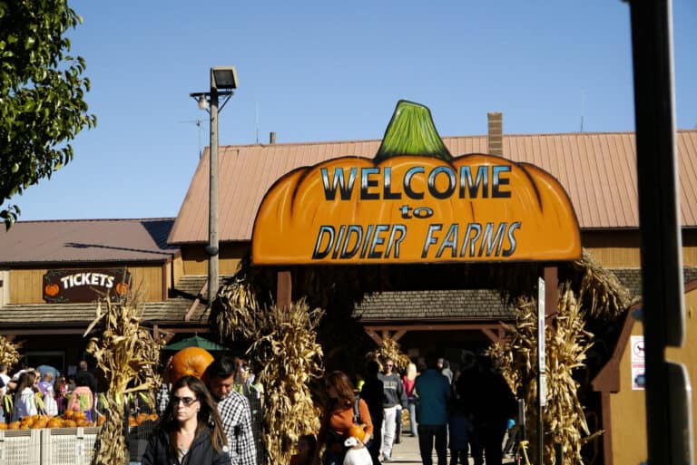 15 Best Things to Do in Buffalo Grove (IL) - The Crazy Tourist