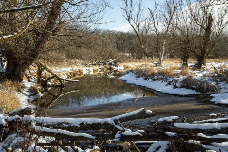 15 Best Things to Do in Streamwood (IL) - The Crazy Tourist