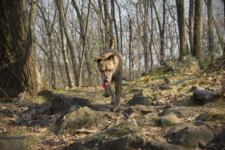 15 Best Things to Do in Stafford (CT) - The Crazy Tourist