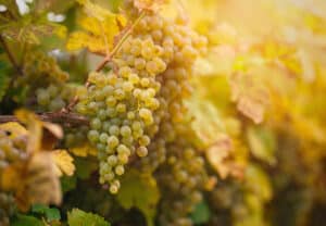 15 Best Things to Do in Suffield (CT) - The Crazy Tourist