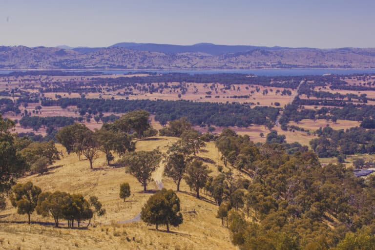 15 Best Things to Do in Wodonga (Australia) - The Crazy Tourist