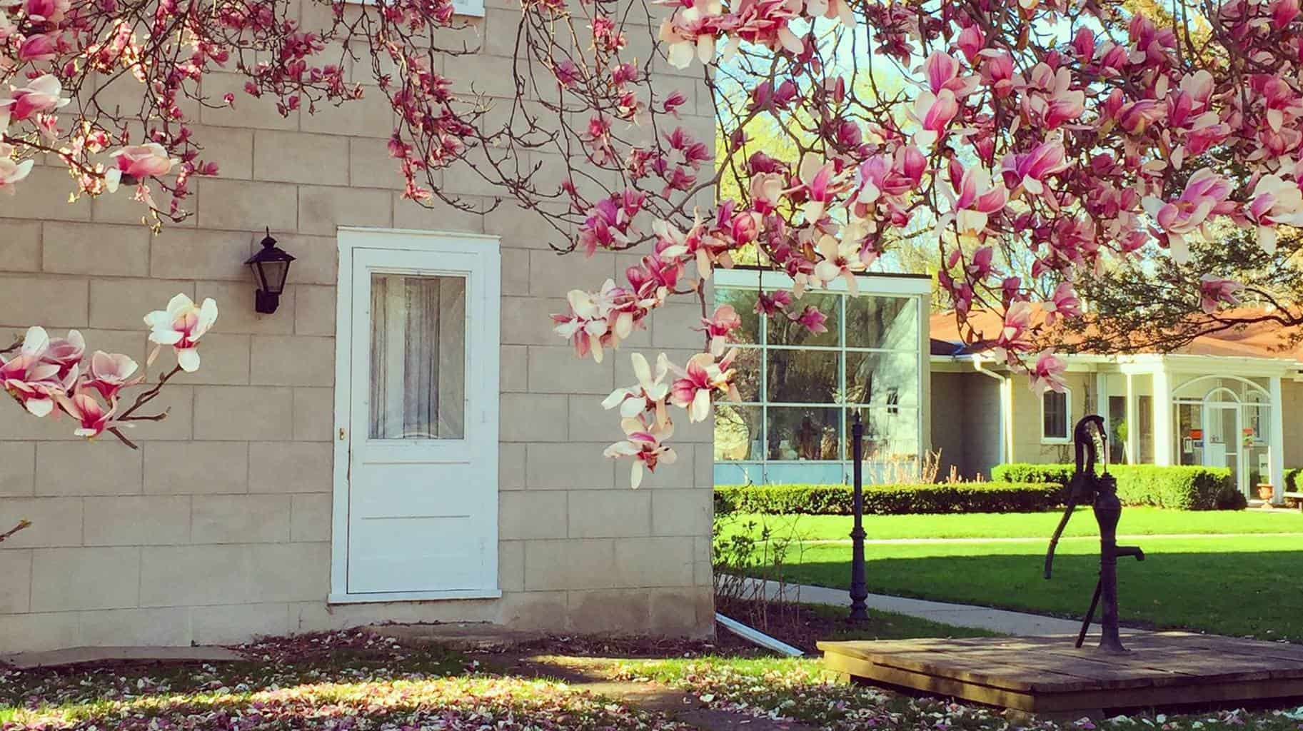 15 Best Things to Do in Kankakee (IL) - The Crazy Tourist