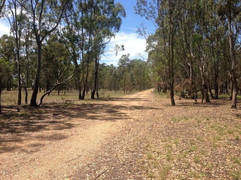 15 Best Things to Do in Traralgon (Australia) - The Crazy Tourist