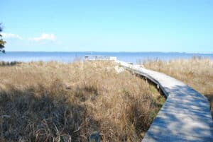 15 Best Things to Do in Ocean View (DE) - The Crazy Tourist