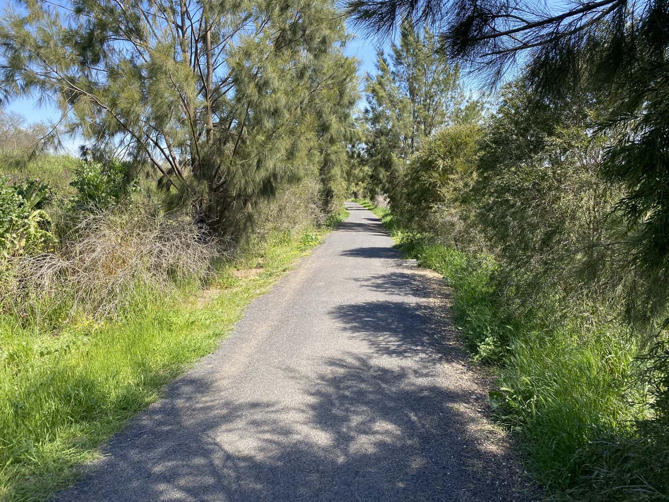 15 Best Things to Do in Dubbo (Australia) - The Crazy Tourist