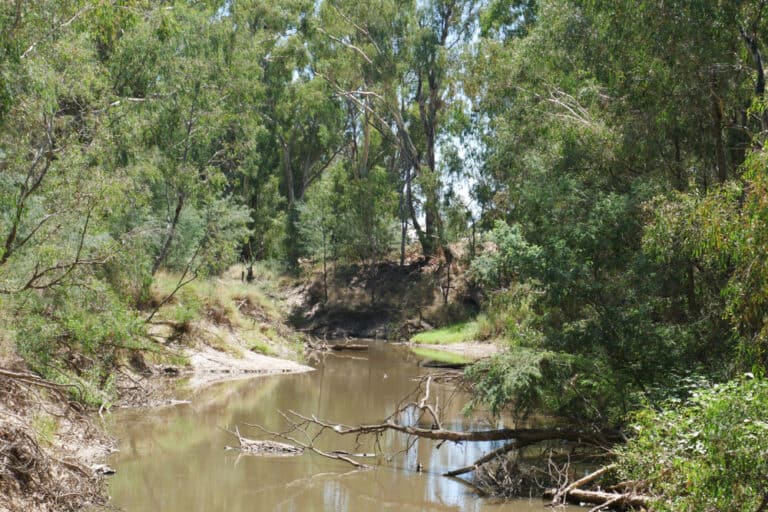 15 Best Things to Do in Shepparton (Australia) - The Crazy Tourist