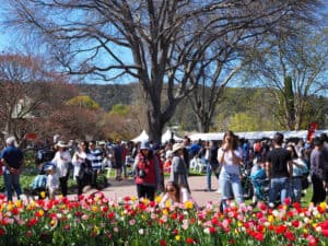 15 Best Things to Do in Mittagong (Australia) - The Crazy Tourist