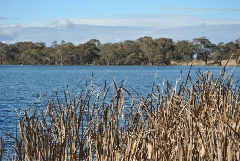 15 Best Things to Do in Orange (Australia) - The Crazy Tourist